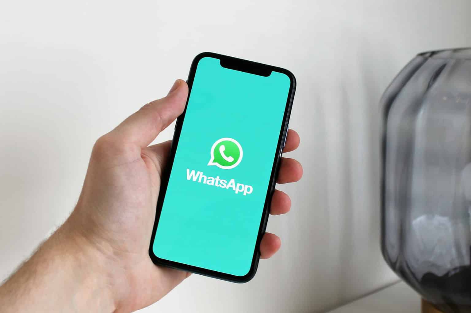Ways To Send Large Video Files Through WhatsApp - thinglabs