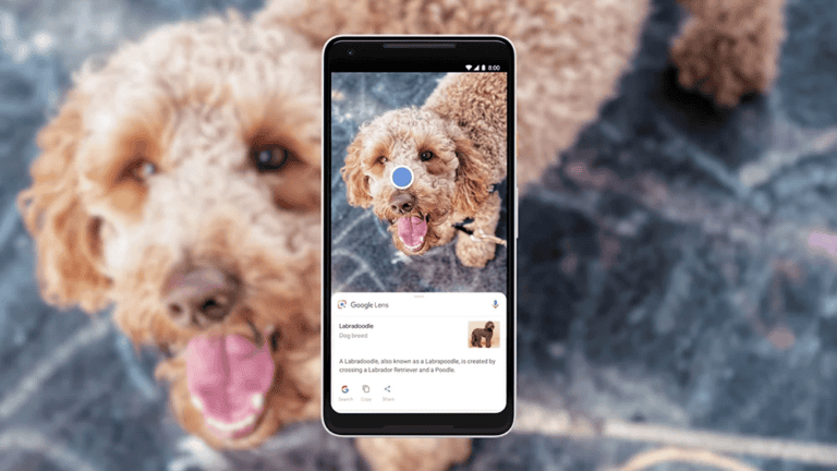 Google Lens introduces enhanced in-store features for smarter shopping decisions - thinglabs