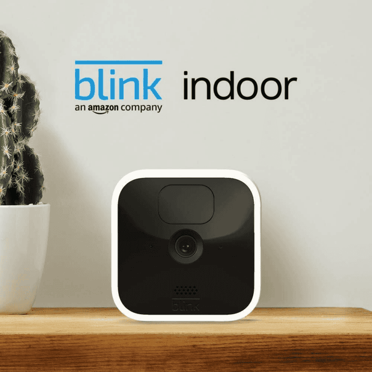 Blink Subscription Plans Explained: Basic vs Plus vs Free Plan - thinglabs