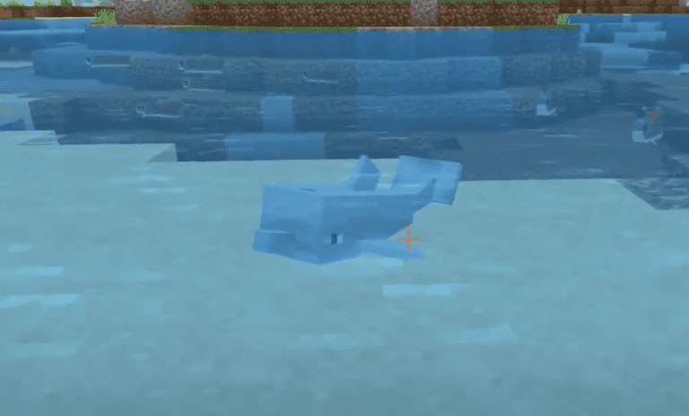 How to Tame and Keep Dolphins Alive in Minecraft - thinglabs