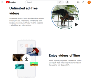 YouTube Plans and Pricing: Explained - thinglabs