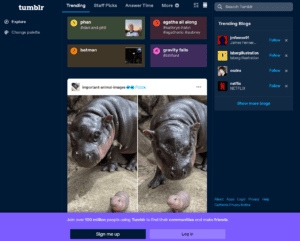 Tumblr: Beginners Guide - thinglabs