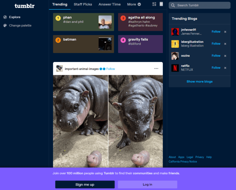 Tumblr: Beginners Guide - thinglabs