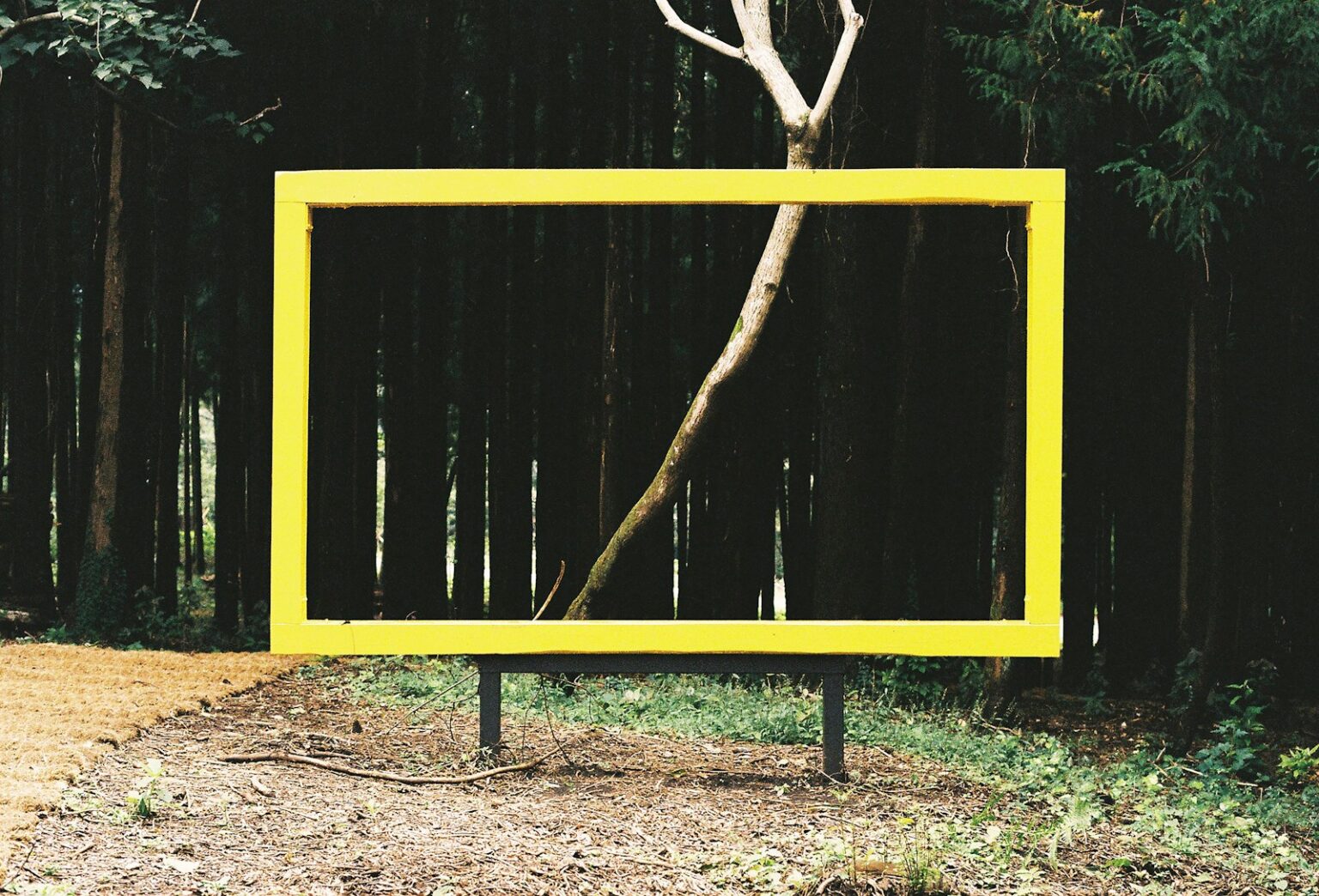 How to Make Any TV Look Like a Picture Frame - thinglabs